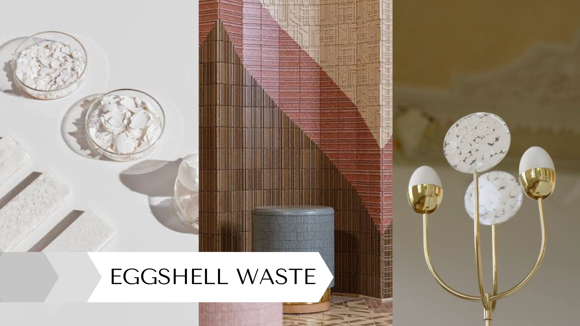Repurposed Eggshell Waste into Sustainable Designs – REFASH
