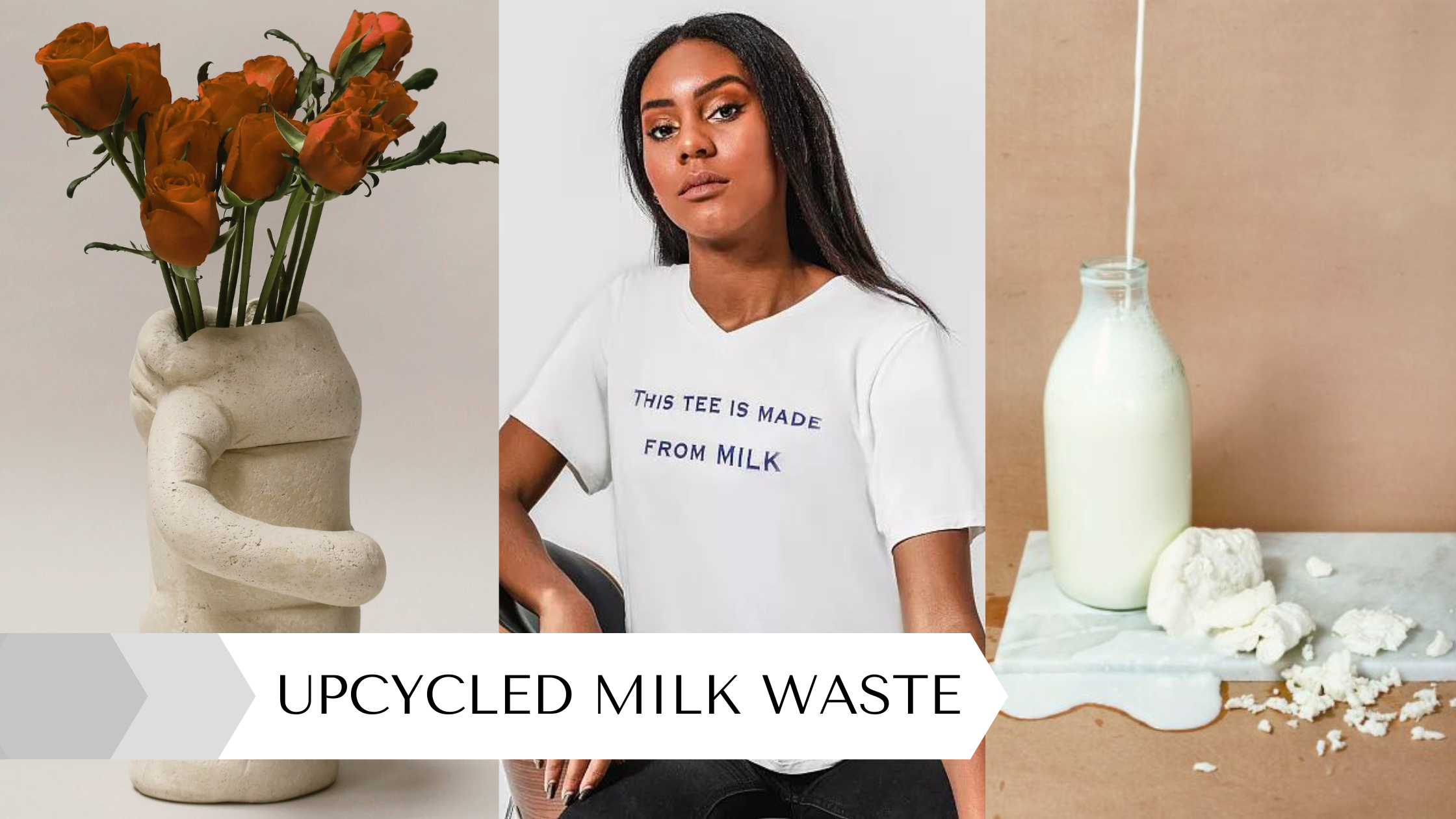 Pouring New Life into Old Milk: Sustainable Solutions for Dairy Waste ...