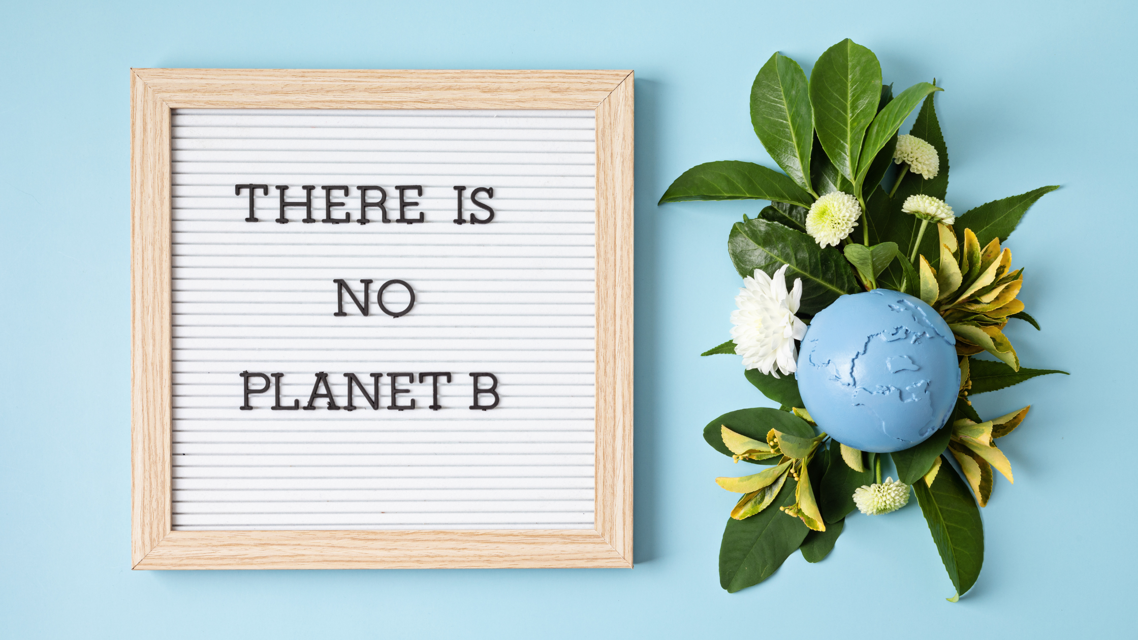 World Environment Day: A Hashtag or a Call for Climate Action? – REFASH