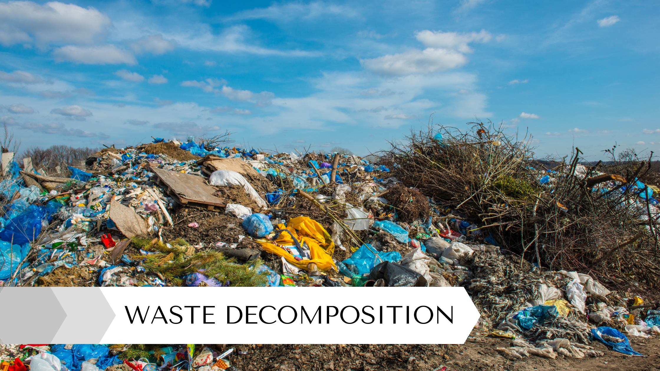 A Breakdown on Landfill Waste Decomposition – REFASH