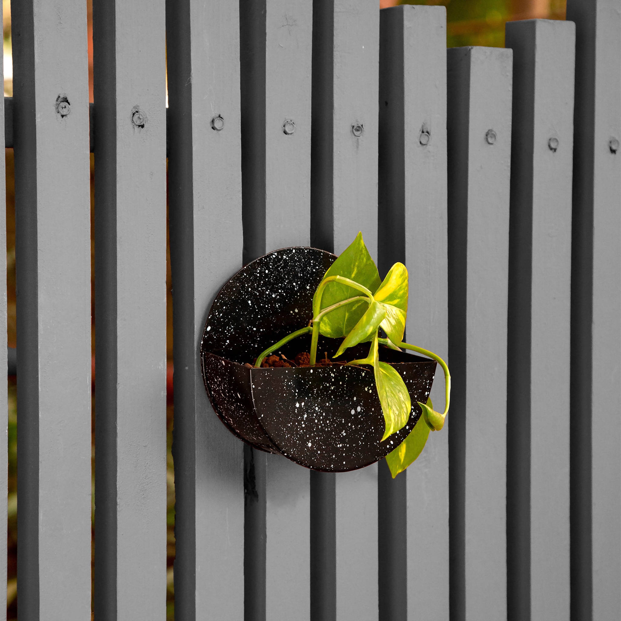 Small Berry Circular Planter | Upcycled Planter – REFASH